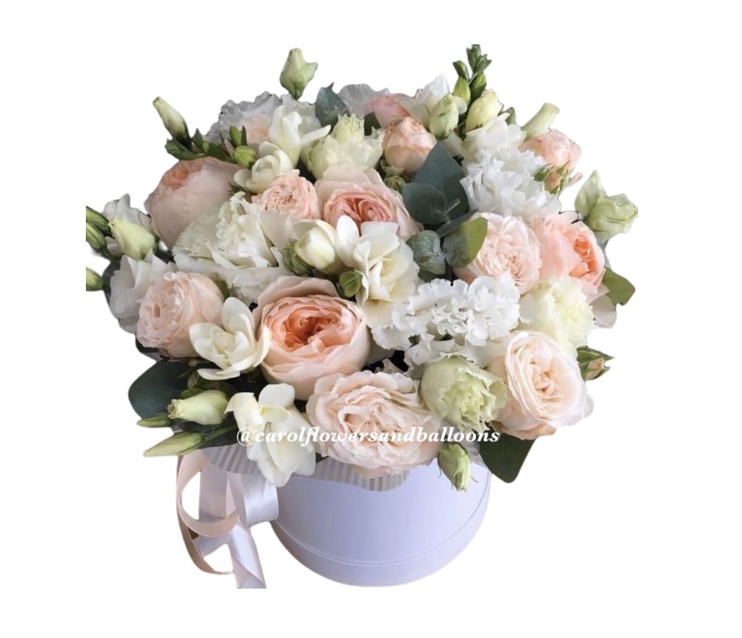 Bella Rose - Bella Rose - Carol Flowers and Balloons