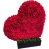 Standing Heart - Standing Heart - Carol Flowers