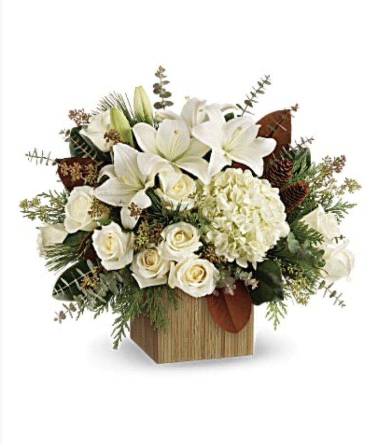 Snowy wood - Snowy wood - Carol Flowers